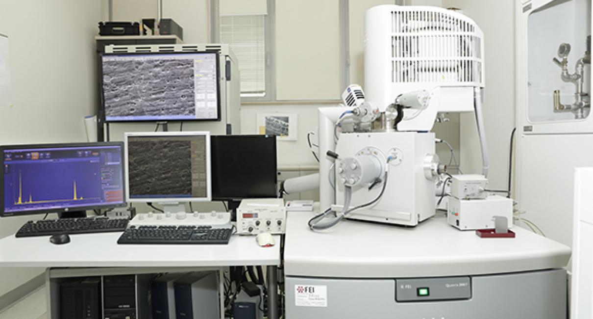 Environmental Scanning Electron Microscope (ESEM). | Tel Aviv ...